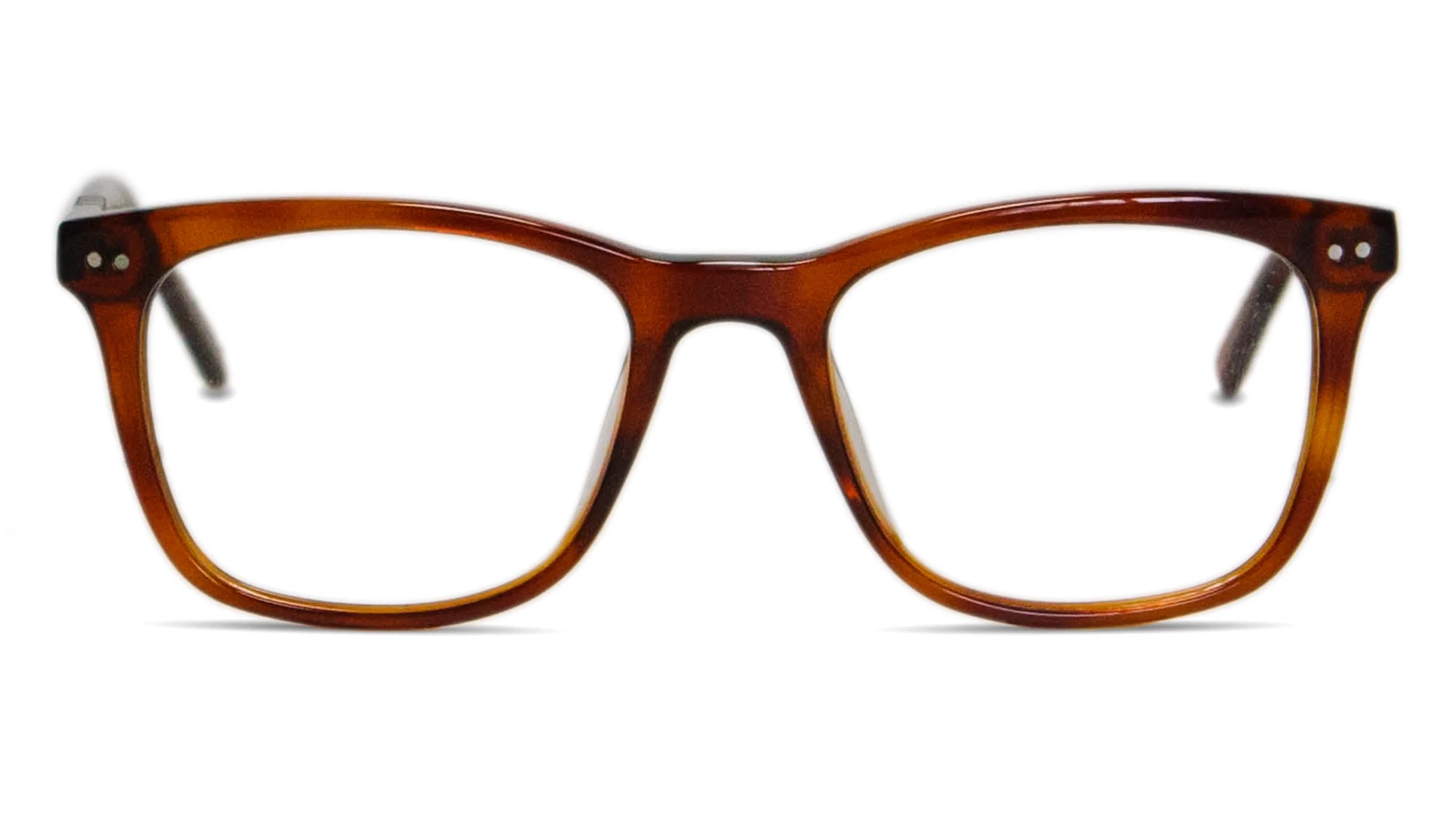 Siena Prescription Eyeglass Frames – Chemistrie